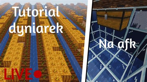 LIVE Zapraszam Serwer RGMC PL Tryb Survival 2 Tutorial Dyniarek