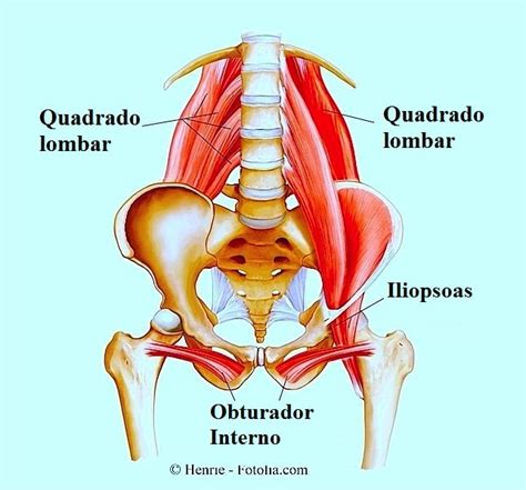 Dor na virilha direita ou esquerda causas e remédios naturais