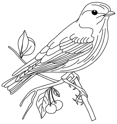 Desenhos De Passarinhos Para Colorir Pop Lembrancinhas