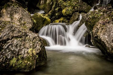 Images Gratuites Paysage Arbre Eau La Nature For T Roche