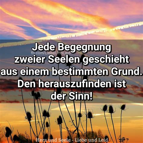 herz und seele eu Jede Begegnung zweier Seelen Sprüche Weisheiten