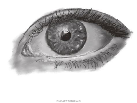 Incredible Compilation Of Eye Drawing Images Extensive Collection Of