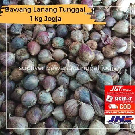 Jual Bawang Lanang 1 Kg Bawang Putih Tunggal Sedang Shopee Indonesia
