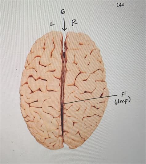 Practical Labs Diagram Diagram Quizlet