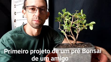 Projeto inicial pré Bonsai de acerola eu achei que era um pé de