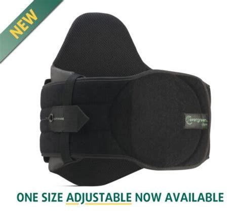 Aspen Evergreen Lso Universal Back Brace One Size Pdac Code L