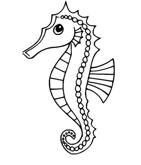 Desenhos De Cavalo Marinho Para Colorir Imprimir E Pintar Colorir Me