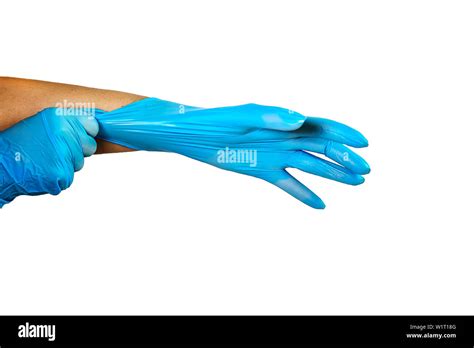 Doctor Nurse Cleaning Female Hands Tinghten Blue Medical Latex Gloves