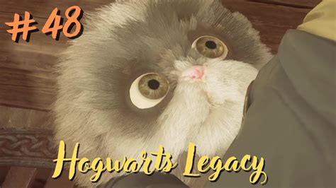 Hogwarts Legacy 48 Tolle Tierwesen Lets Play Hogwarts Legacy