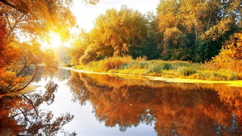 100 8k Ultra Hd Natur Wallpaper Wallpapers
