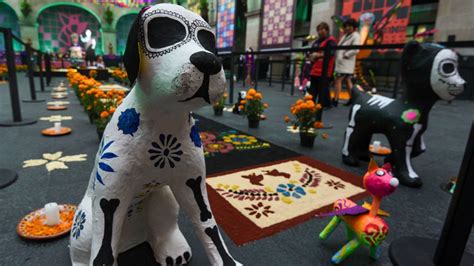A Qué Hora Llegan las Mascotas el Día de Muertos 2024 Horario en que