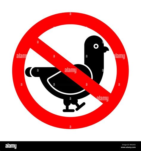 Stop Dove Ban Pigeon Red Prohibition Road Sign Stock Vector Image