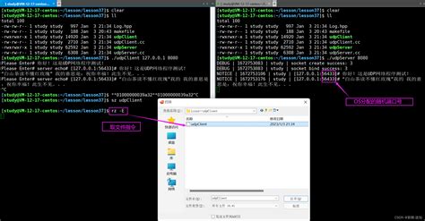 ＜udp网络编程＞——《计算机网络》 csdn博客