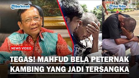 MENOHOK Mahfud MD Sebut Peternak Kambing Yang Lawan Maling Tak Bisa