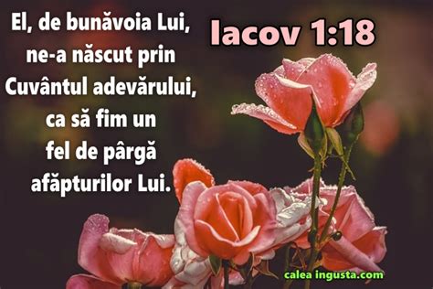 30 de versete biblice pentru zile de naștere cu imagini Calea Ingusta