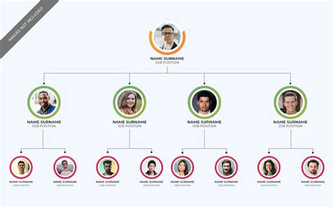P Gina Vectores E Ilustraciones De Organigramas Personal Para