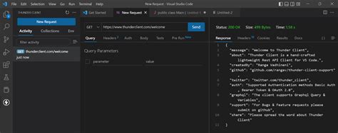 How To Perform Api Testing In Various Ide Naukri Code
