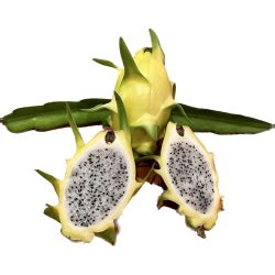 Comprar Pitaya o fruta del dragón 2 colores de Valencia 3 kg