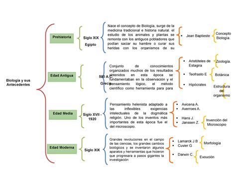 Cuadro Sinoptico De Antecedentes De La Biologia General Nace El My