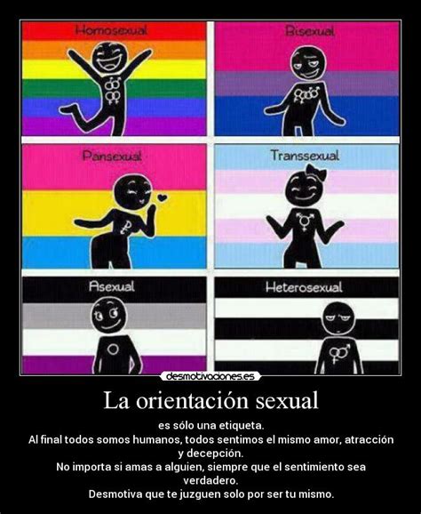 La Orientaci N Sexual Desmotivaciones