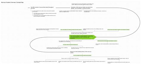 Concept Map On Nervous System A Comprehensive Overview