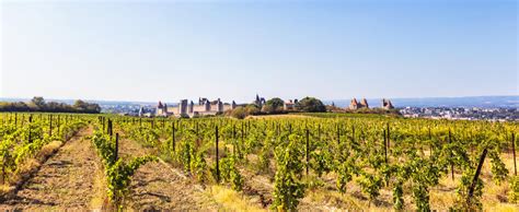 Autres Régions Nos Vins Giambagli Cellier de l Amitié