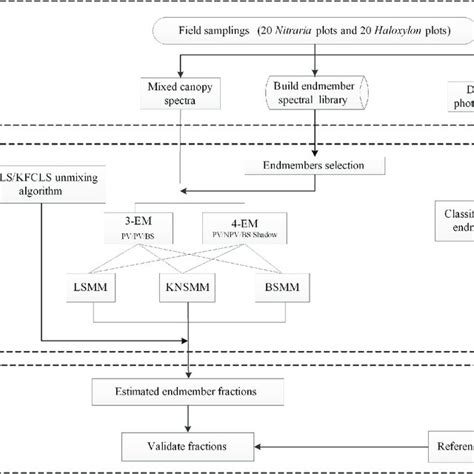 methods flowchart showing the processing for the spectral mixture download scientific diagram