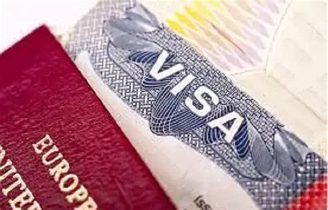 Cómo tramitar una visa de estudiante para España 2024 elyex