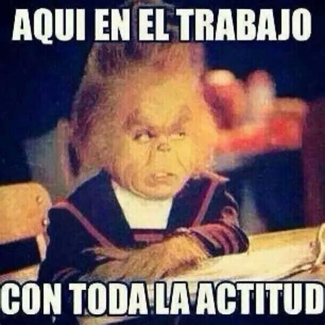 A Monkey Sitting At A Table In Front Of A Sign That Says Acqui En El