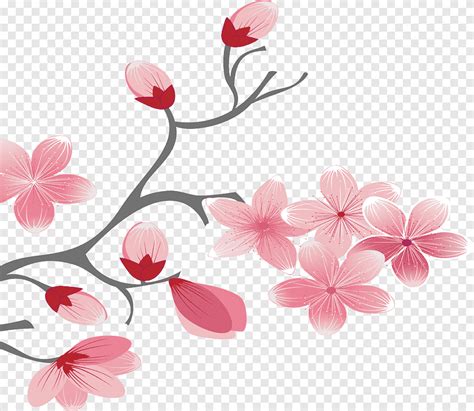 Baixar Flor De Cerejeira Rosa Flores De Cerejeira Elegantes E Rosa