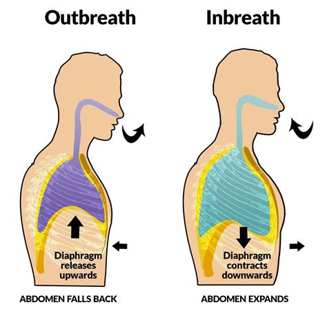 Diaphragm Muscle Relaxation Techniques