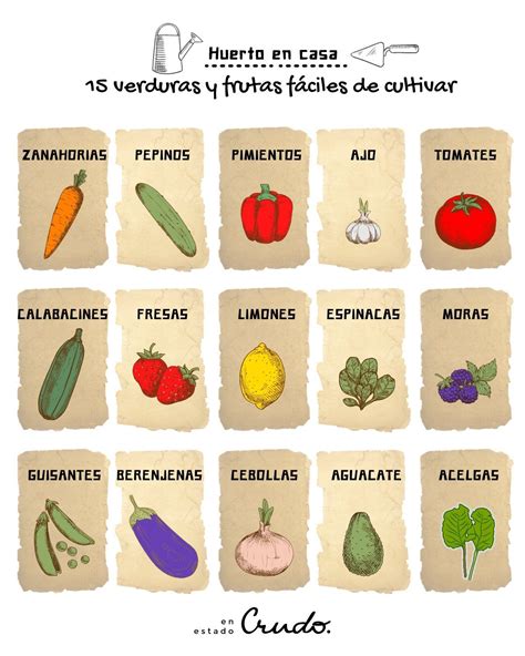 15 Verduras Y Frutas Faciles De Cultivar Tik Tok Planting Vegetables