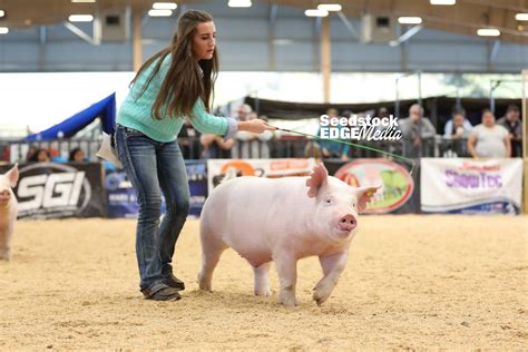 2019 Western Regional Overall Purebred Barrow Show National Swine