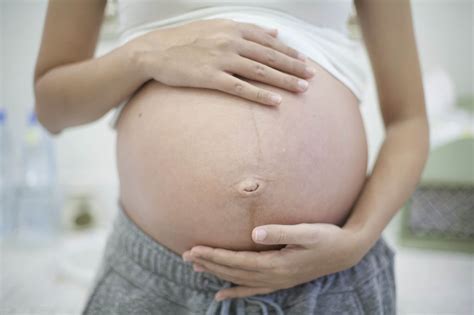 Aumente A Sua Fertilidade Eu Sem Fronteiras