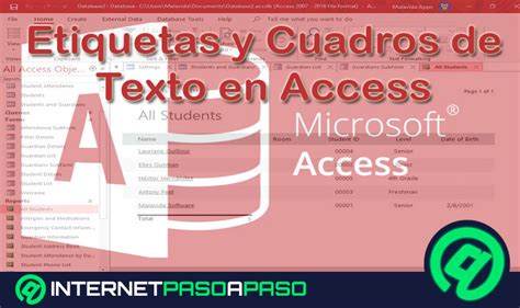 Exportar Datos En Access Gu A Paso A Paso