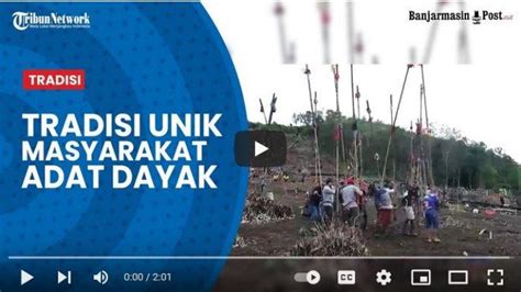 Video Melihat Tradisi Unik Menanam Padi Masyarakat Adat Dayak Di Desa