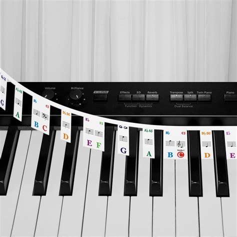Snapklik HiFan Removable Piano Keyboard Note Labels Without
