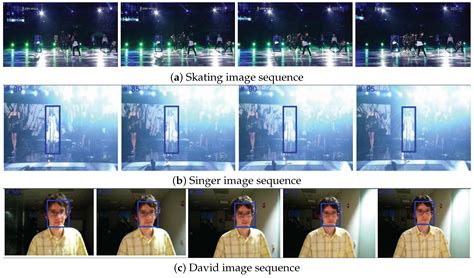 sensors free full text visual object tracking using structured sparse pca based appearance
