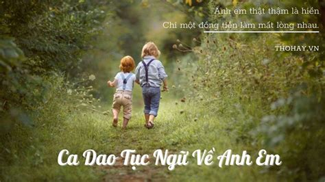 98 Ca Dao Tục Ngữ Về Anh Em Chị Em Hay Nhất