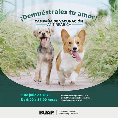 BUAP on Twitter Demuéstrales tu amor cuidando su salud Campaña