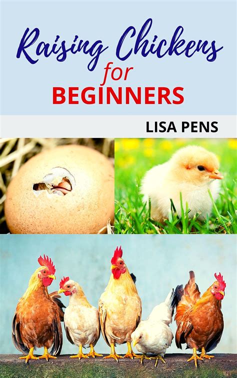 Buy RAISING CHICKENS FOR BEGINNERS The Complete Step By Step Beginners