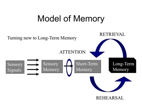 model of memory retrieval turning now to long term memory attention