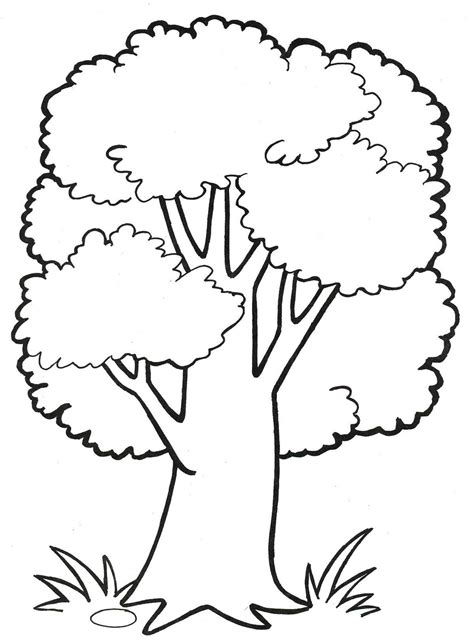 Disegni Di Alberi Da Colorare Stampa Per Bambini Wonder Day