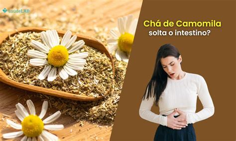 Chá de camomila solta o intestino Veja se é possível usar essa