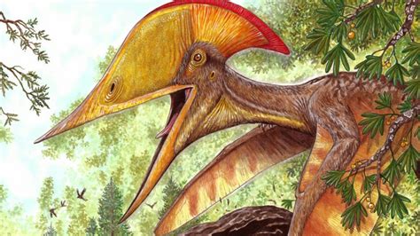 Pesquisas sino brasileiras descobrem nova espécie de dinossauro