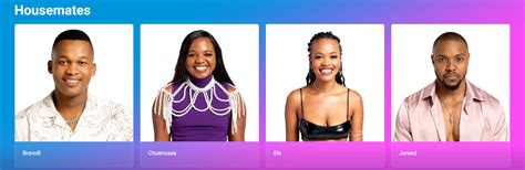 Big Brother Mzansi 2024 Season 4 Housemates