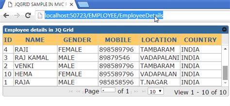 jqgrid using mvc with razor view engine in