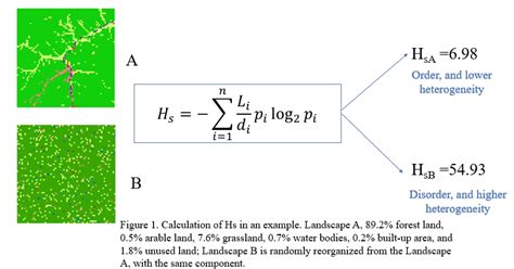 entropy free full text spatial heterogeneity analysis introducing a new form of spatial entropy