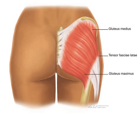 Non Surgical Buttock Augmentation Rejuvenation Resource