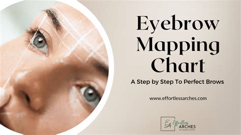Eyebrow Mapping Chart A Step By Step Guide To Perfect Brows